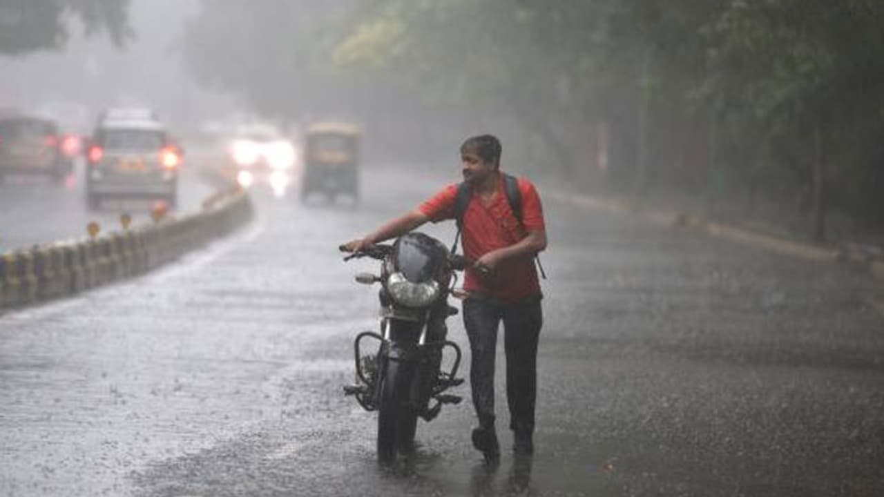 Monsoon in India: Rainy season can bring many diseases; know preventive ...