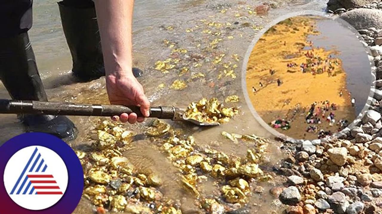 Golden River: ಭಾರತದ ಈ ನದಿಯಲ್ಲಿ ನೀರಿನ ಜೊತೆ ಚಿನ್ನ ಹರಿಯುತ್ತಂತೆ | Gold Flow ...