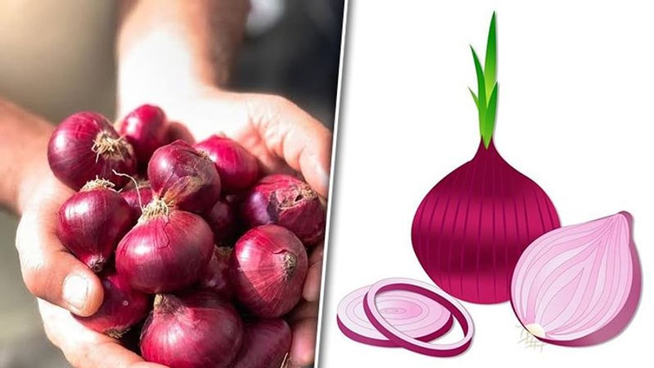 Cardiovascular health to Bone health: 7 benefits of Onion in everyday ...