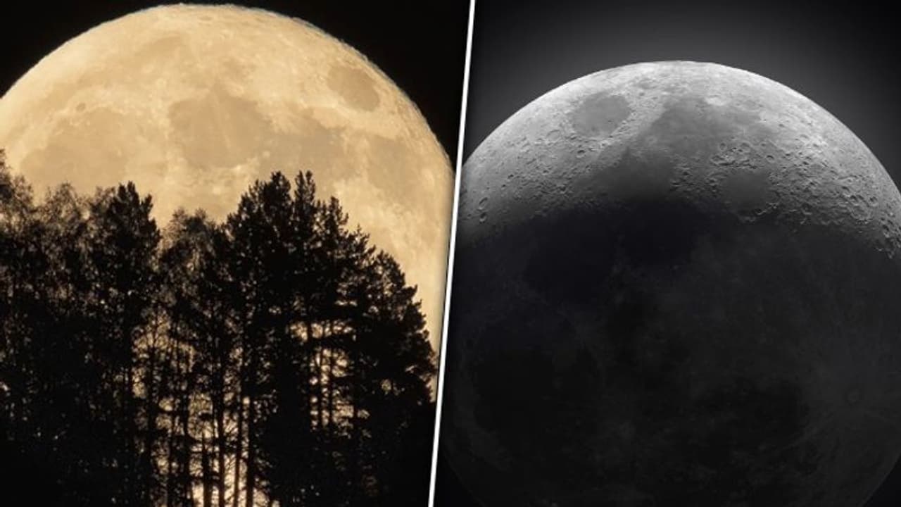 National Moon Day 2023: Celebrating the historic Lunar landing and ...