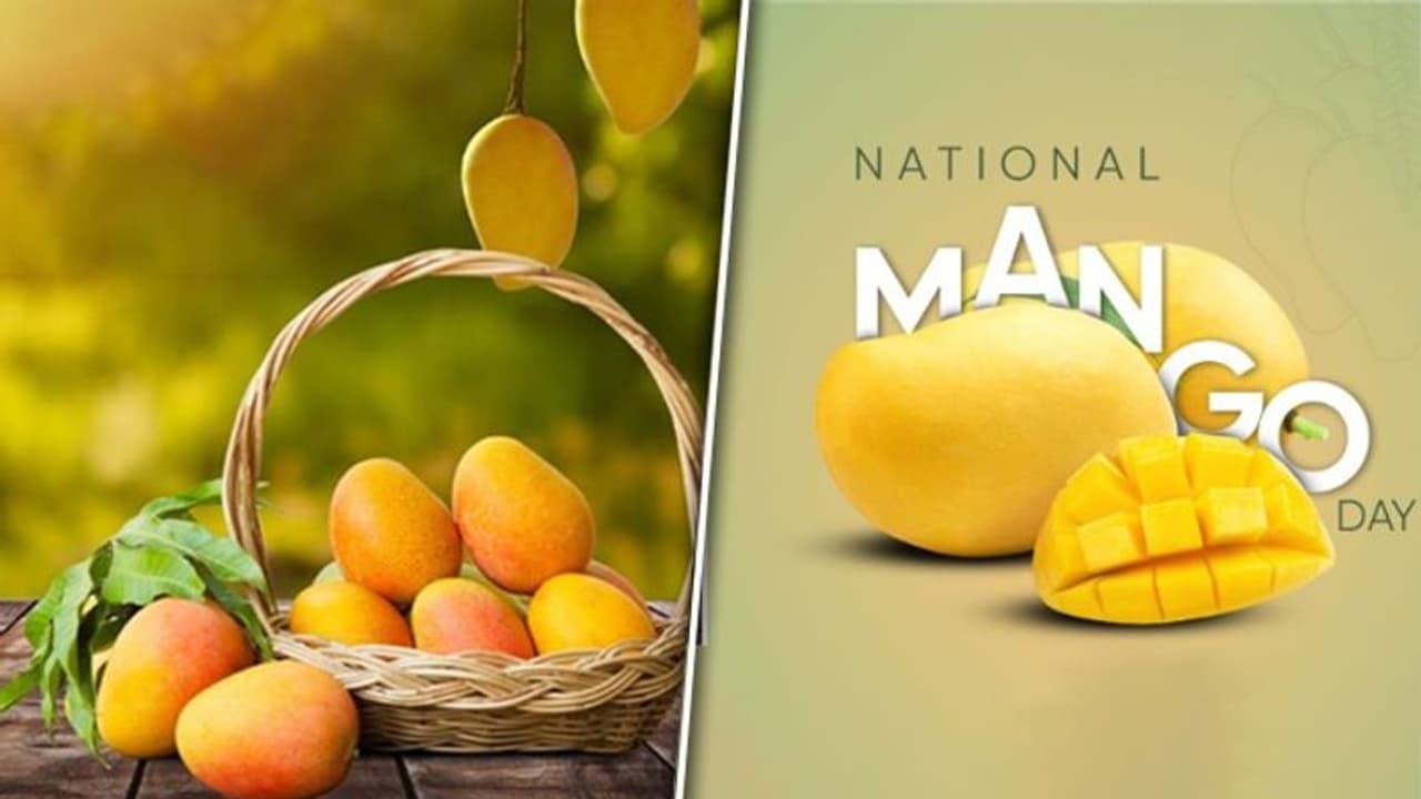 National Mango Day 2023: Embrace tropical splendour of the King of ...