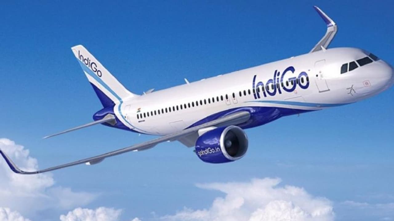 IndiGo Orders 30 Long-Range Airbus ചിറകുവിടർത്താൻ ഇൻഡി ഗോ 30 കൂറ്റ ...