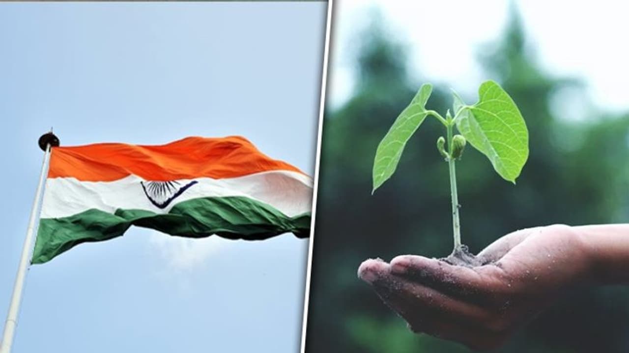 Independence Day 2023: 7 Environment-friendly celebration ideas ...