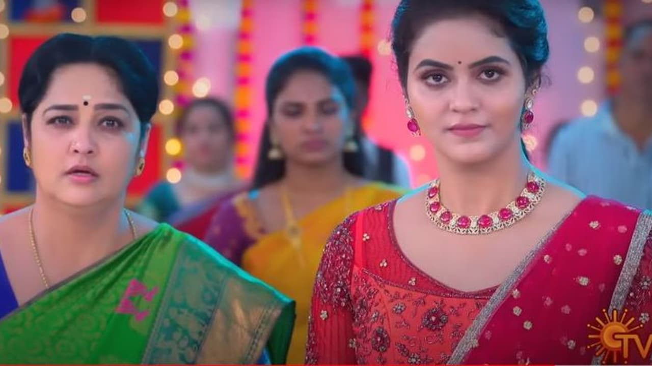 Kayal Serial Cast Salary Details: 'கயல் சீரியல் பிரபலங்கள் ஒரு நாளைக்கு ...