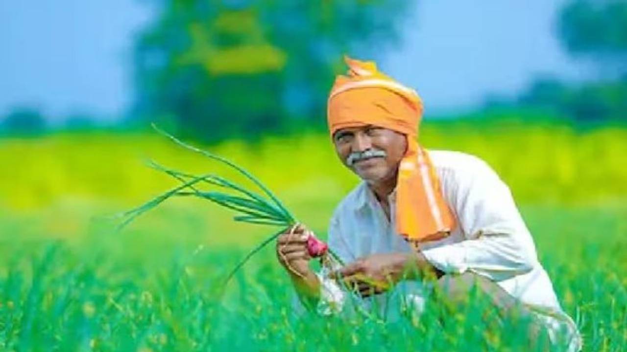 Explained: How Modi government's PMFBY crop insurance scheme has ...