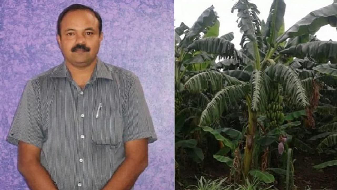 ఇంజినీర్ వదిలి వ్యవసాయం వైపు అడుగులు.. అతని సంపాదన తెలిస్తే షాకే ...