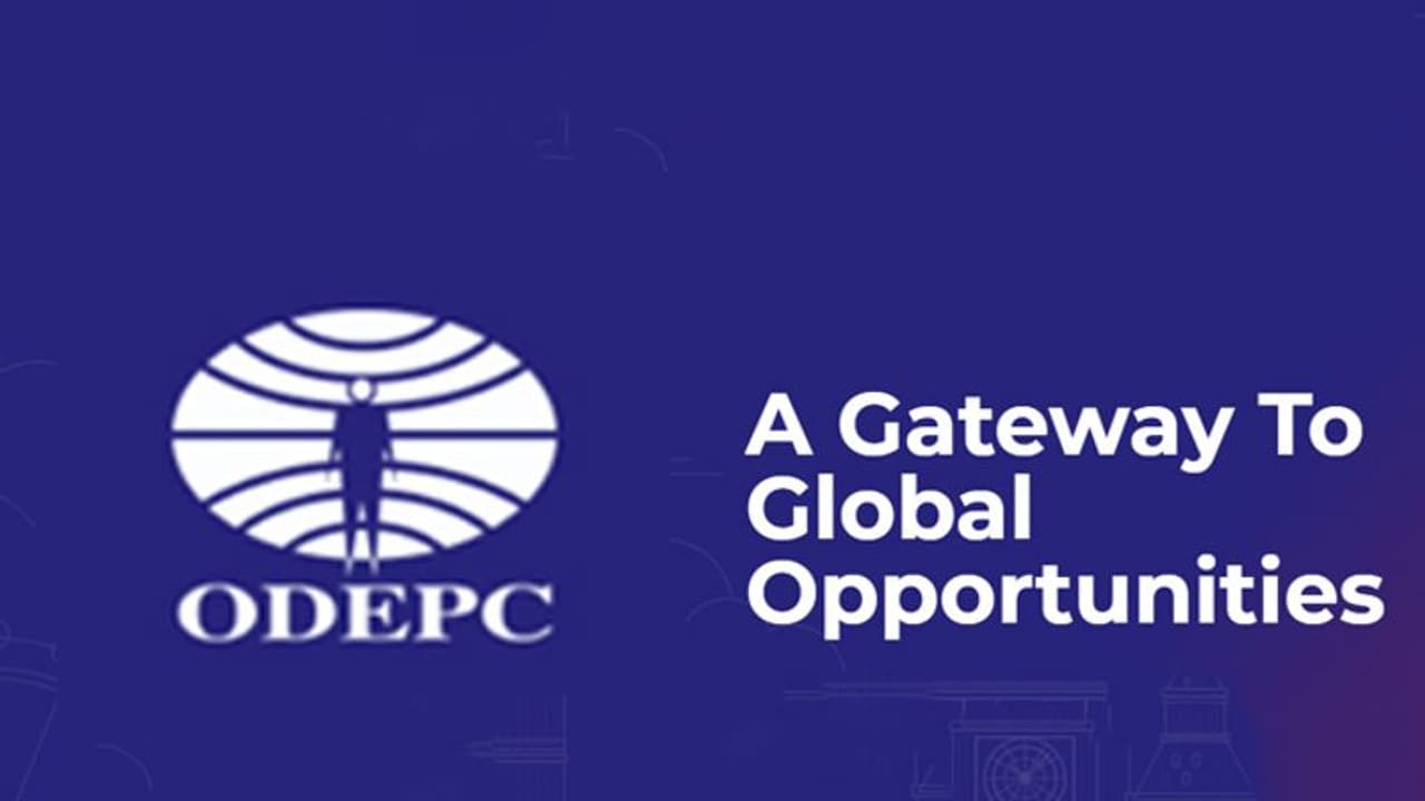 തുർക്കിയിലെ പ്രമുഖ കപ്പൽ നിർമാണ കമ്പനിയിൽ അവസരം | Odepc Recruitment ...