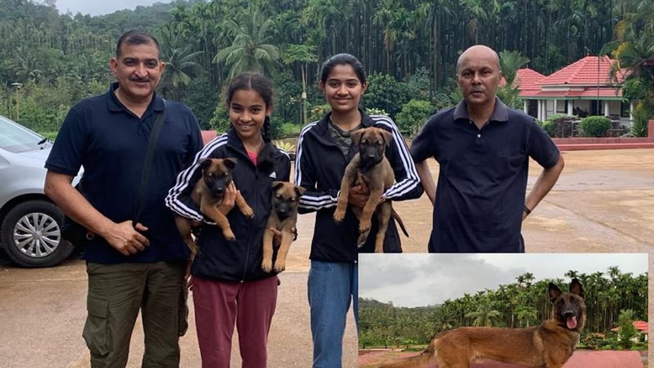Karnataka: Belgian dog breed from Chikkamagaluru to serve as spy in ...