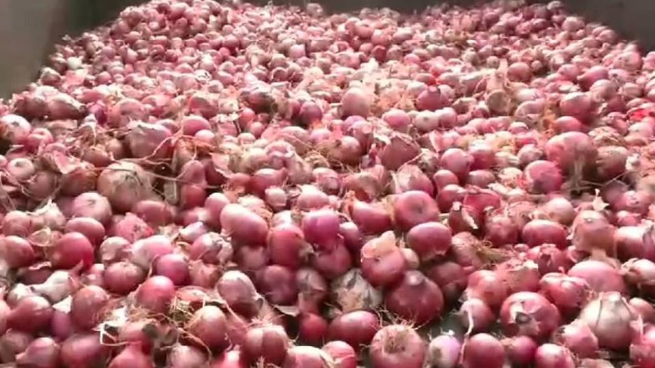 65 Rs.ಗೆ Rise ಆಗಿರುವ Onion Price Downಗೆ ಕ್ರಮ: Central Governmentನಿಂದ 25 ರೂ.ಗೆ Discounted ...