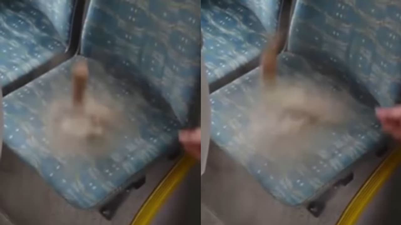 Viral Video Shows How Much Dust A Bus Seat Holds ബസിലെ സീറ്റില് ...