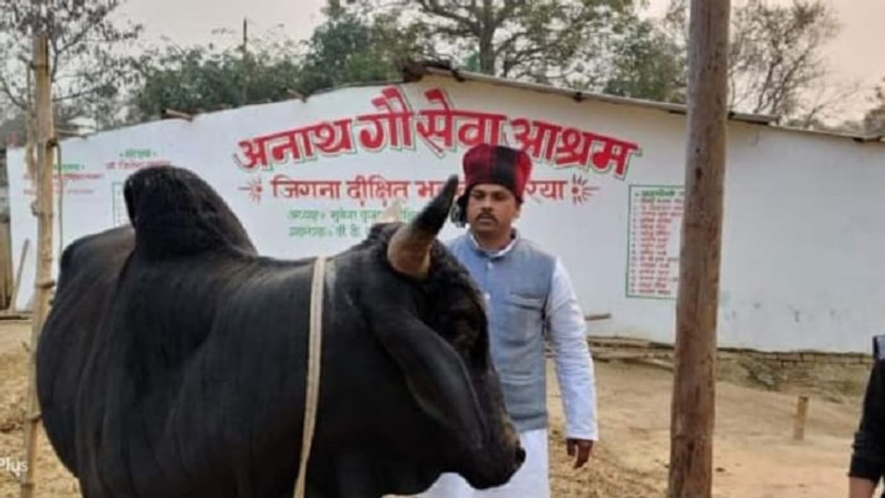 Mukesh Dixit’s Dedication to Rescuing Animals: 198 animals live in his ...