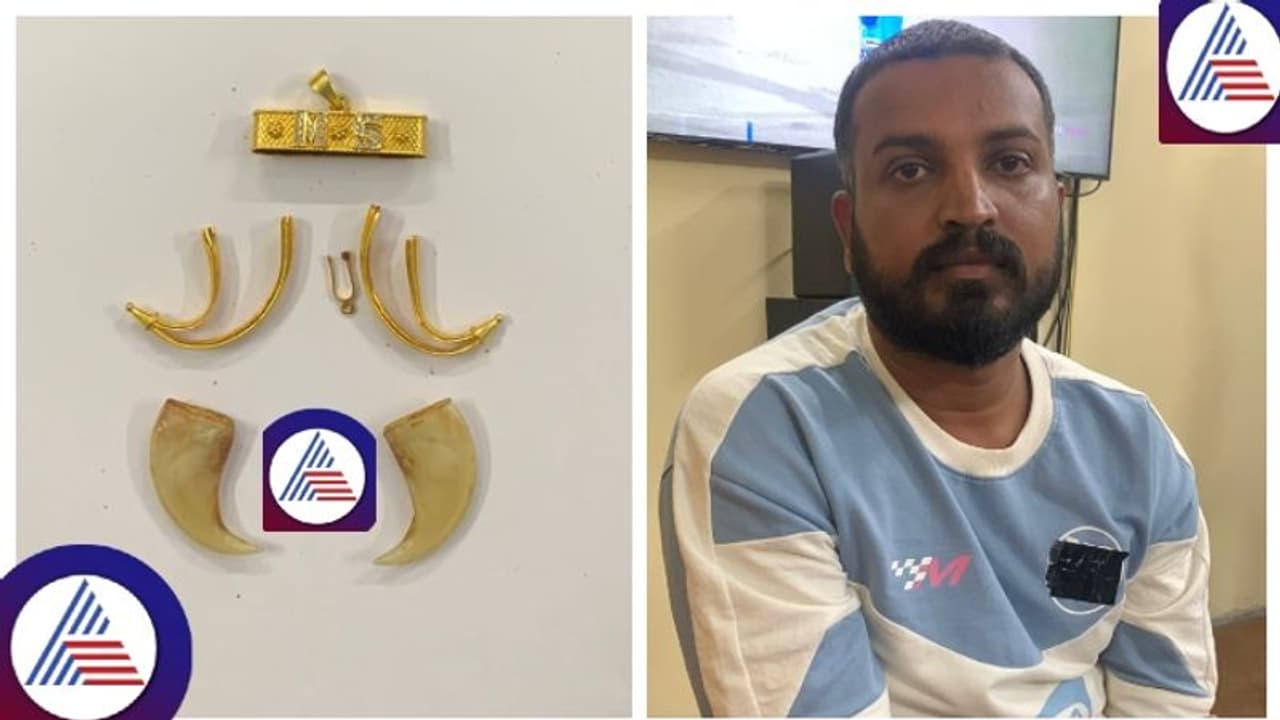 Bigg Boss Kannada contestant Varthur Santosh granted bail in Tiger claw ...