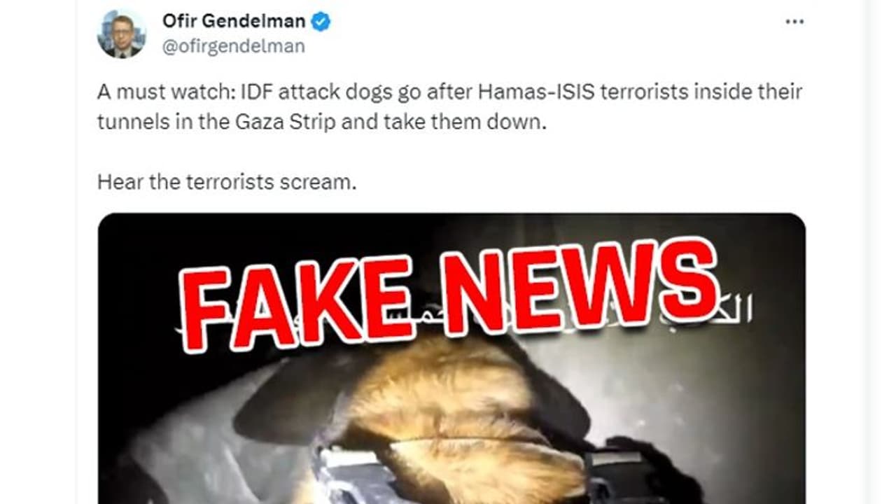 Fact Check: Did IDF send 'attack dogs' inside tunnels to go after Hamas ...