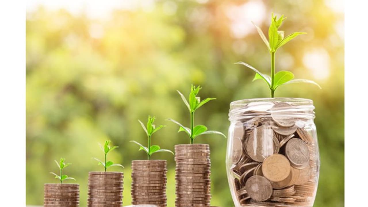 Clove Vastu Tips ಈ ವಸ್ತು ನಿಮ್ಮಲ್ಲಿದ್ದರೆ ಹಣಕ್ಕೆ ಕೊರತೆಯಿಲ್ಲ, ನೆಮ್ಮದಿ ...