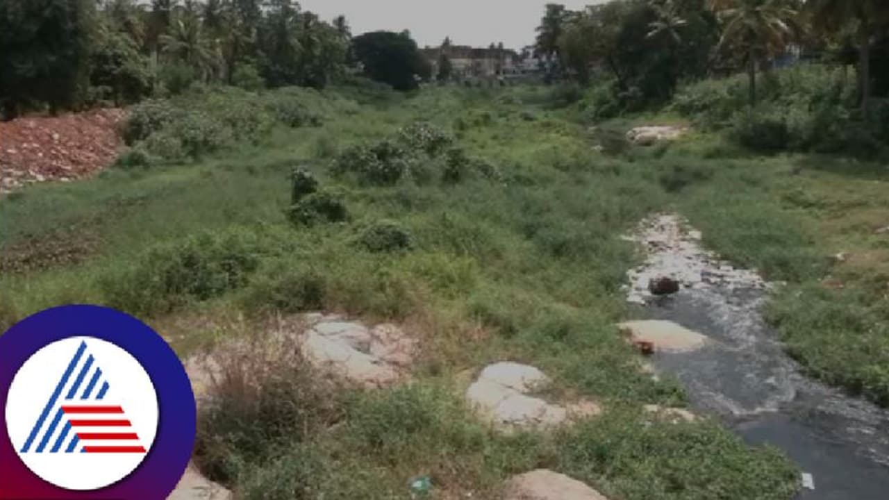 ಕುಡಿಯುವ ನೀರಿಗೆ ಆಧಾರವಾಗಿದ್ದ ಅರ್ಕಾವತಿ ನದಿ‌ ಕಲುಷಿತ; ಡಿಸಿಎಂ ತವರು ಜಿಲ್ಲೆಗೇ ...