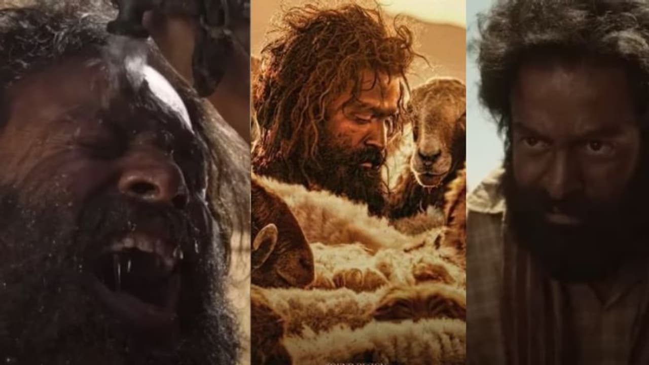 prithviraj Aadujeevitham movie: 'ഷൂട്ടിനിടെ പൃഥ്വി തളർന്ന് വീണു ...