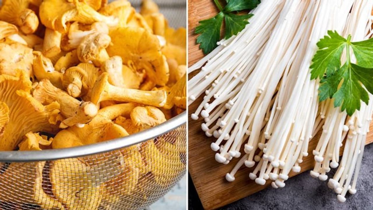Chanterelle to Enoki: 7 unique types of Mushrooms | Asianet Newsable