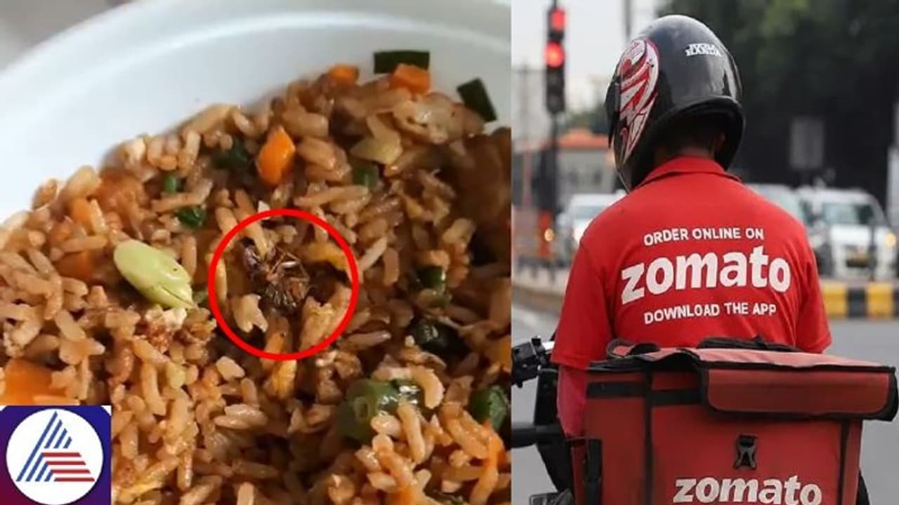 Dead cockroach found inside Biryani ordered via Zomato? Bengaluru woman ...