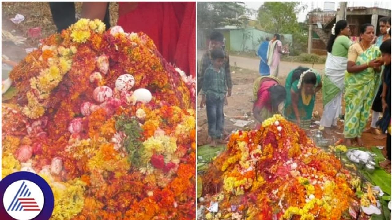 Snake: ಷಷ್ಠಿ ಪಂಚಮಿಯಂದು ಹಾವಿನ ಹುತ್ತಕ್ಕೆ ಕೋಳಿ ಮೊಟ್ಟೆ, ರಕ್ತ ಅರ್ಪಿಸಿದರೆ ...