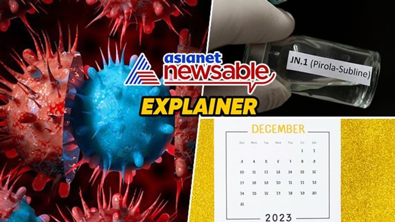 Why is it always in December? Decoding the seasonal surge of Covid-19 ...