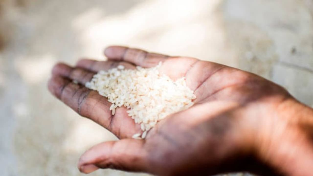 Rice prices surge in Kerala again by Rs 8; Read | Asianet Newsable
