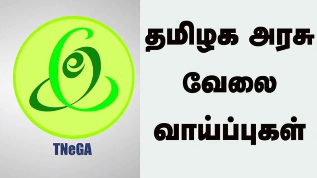TNEGA Recruitment 2024 : மாதம் ரூ.1.25 லட்சம் சம்பளம்.. டிகிரி ...