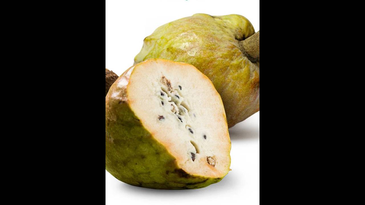 Health benefits of Ramphal Fruit in Tamil : முள் சீத்தாப்பழம் ஆரோக்கிய ...