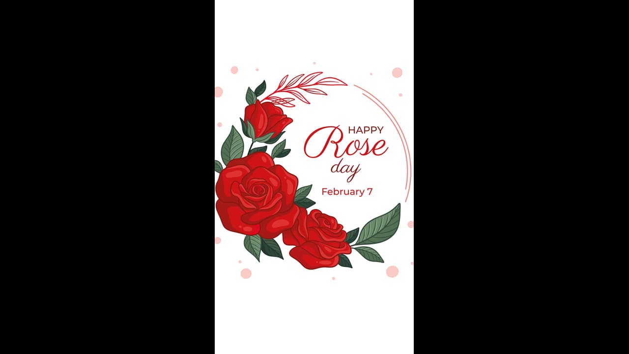 Happy Rose Day 2025: Why is it celebrated? Here's everything you need ...