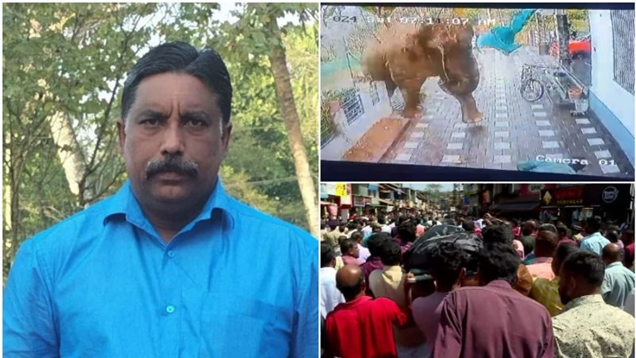 wayanad wild elephant attack updates സർവ്വ സജ്ജം ദൗത്യസംഘം, അതീവ നി ...