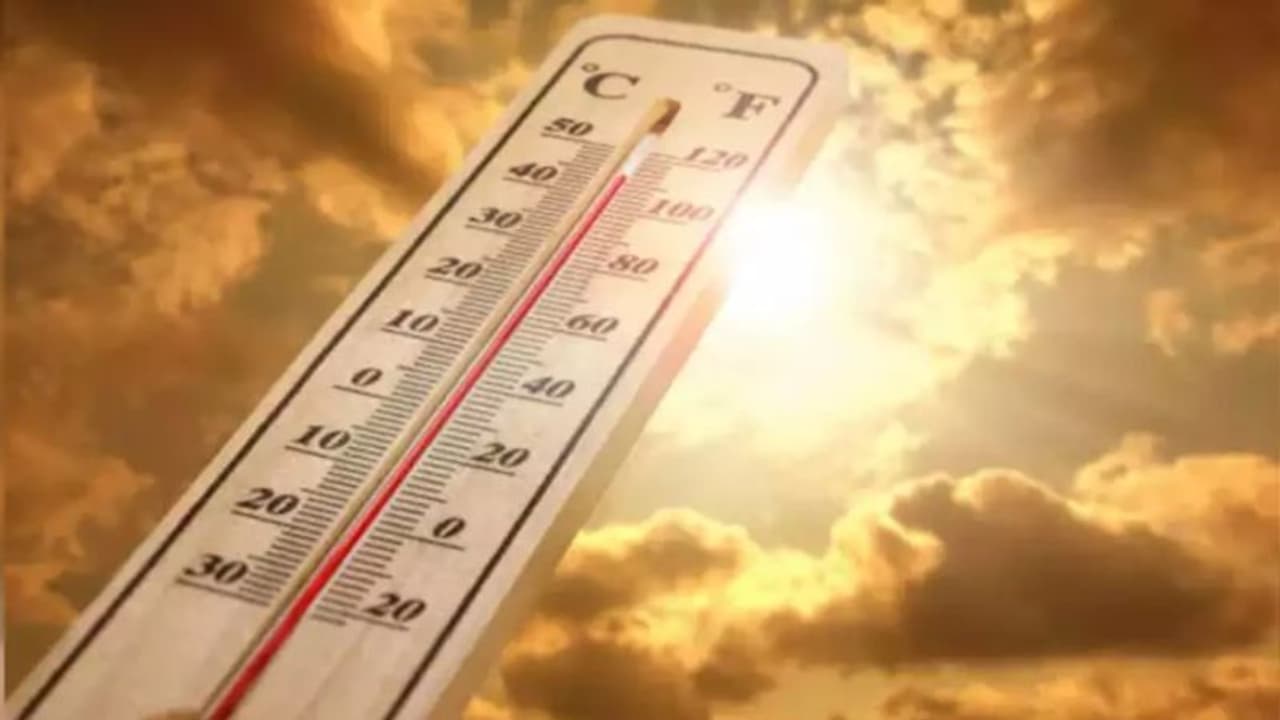 Kerala to experience high temperature today; yellow alert in 9 ...