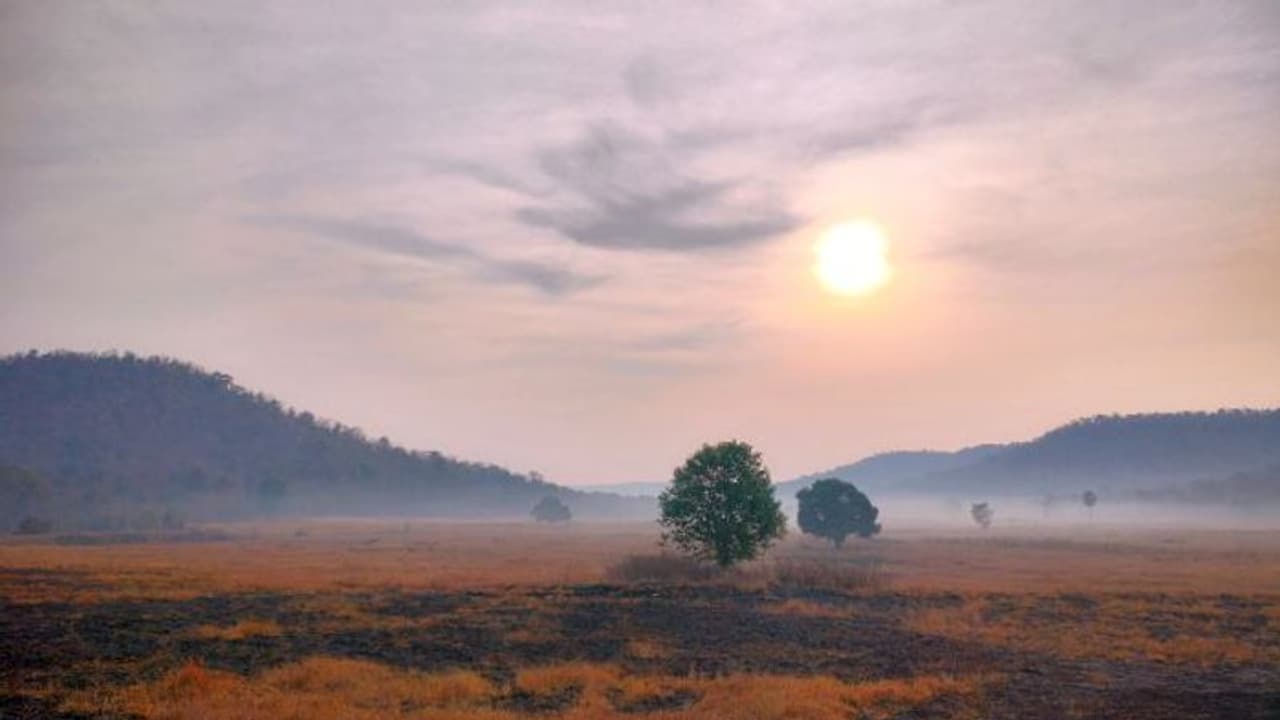 Kheoni Wildlife Sanctuary: Madhya Pradesh's 'wild' secret is out (WATCH ...