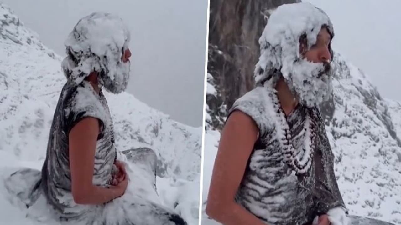 Ice-clad, yet unbroken: Viral video captures Yogi's unwavering ...