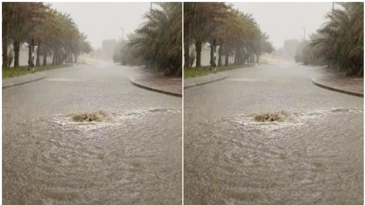 Heavy rain hits uae: റോഡുകള്‍ തോടുകളായി, അലര്‍ട്ട് പ്രഖ്യാപിച്ച് അധികൃതര്‍; ജാഗ്രത പാലിക്കണം ...