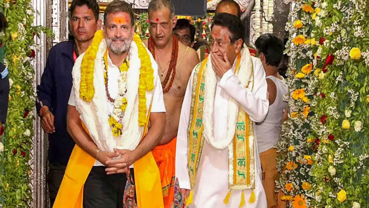राहुल गांधी की यात्रा में शामिल नहीं हुए छिंदवाड़ा के 7 कांग्रेसी ...