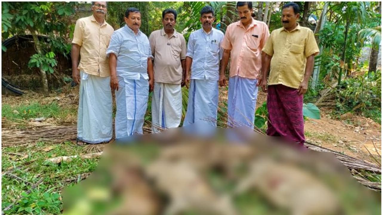 Honorary Wild Life Warden Wild Boar Attack ഒരു മരണം, കുറേ അപകടങ്ങ ...