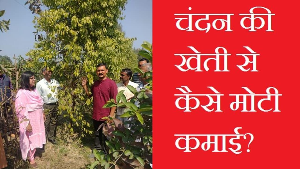 अफसर बना किसान: असिस्टेंट कमांडेंट की नौकरी छोड़ शुरु की खेती, रूरल ...