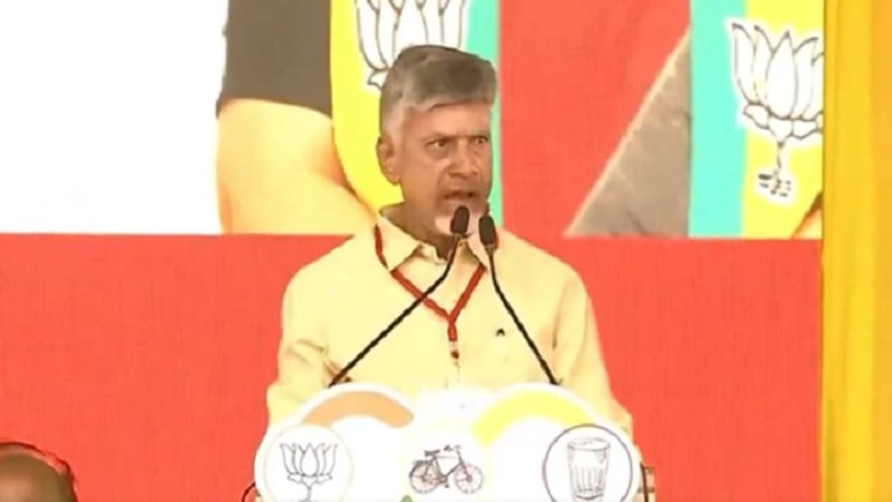LS Polls 2024 Results: Chandrababu Naidu scores big with win in AP ...