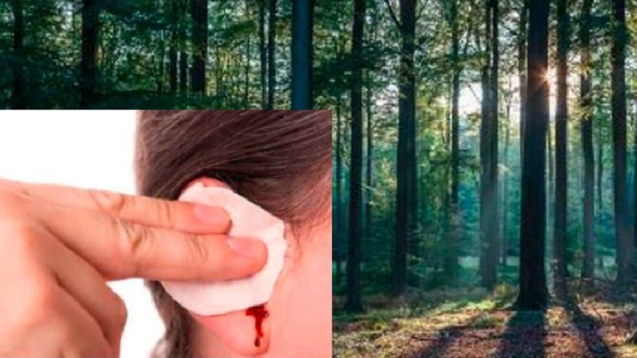 Smoking, cigarette ಎಳಿಬೇಡಿ ಎಂದ ಅರಣ್ಯ ಸಿಬ್ಬಂದಿಯ Ear bitten ಗಾಯಗೊಳಿಸಿದ ...