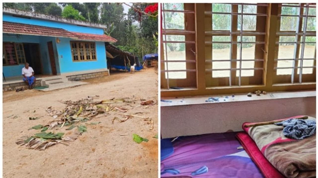 പുലർച്ചെ നാലുമണിക്ക് വീട്ടുമുറ്റത്ത് കാട്ടാന; ജനൽ ചില്ല് തകർത്തു; സംഭവം ...