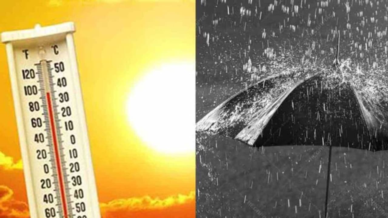 Kerala Weather Update: Light rain expected in 8 districts in next 5 ...