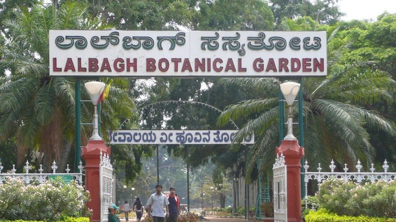 Water crisis hits Bengaluru's Lalbagh; Requires 1.5 million litres of water per day to quench ...