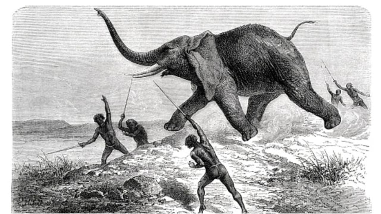 Humans Hunted Elephants In Paleolithic Era: രണ്ട് ദശലക്ഷം വർഷങ്ങൾക്ക് ...