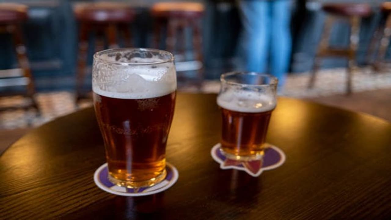 Belgian researchers unveil AI bear detection method: Here's everything ...