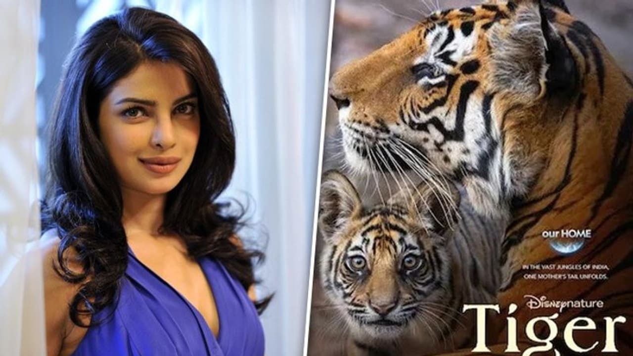 Priyanka Chopra in Disney's upcoming film 'Tiger'; actress lent her ...