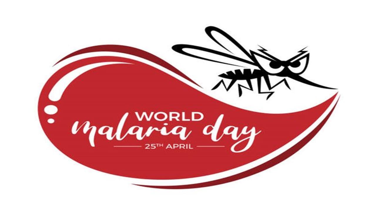 Word Malaria Day 2024: 5 differences between Malaria and Dengue; Read ...