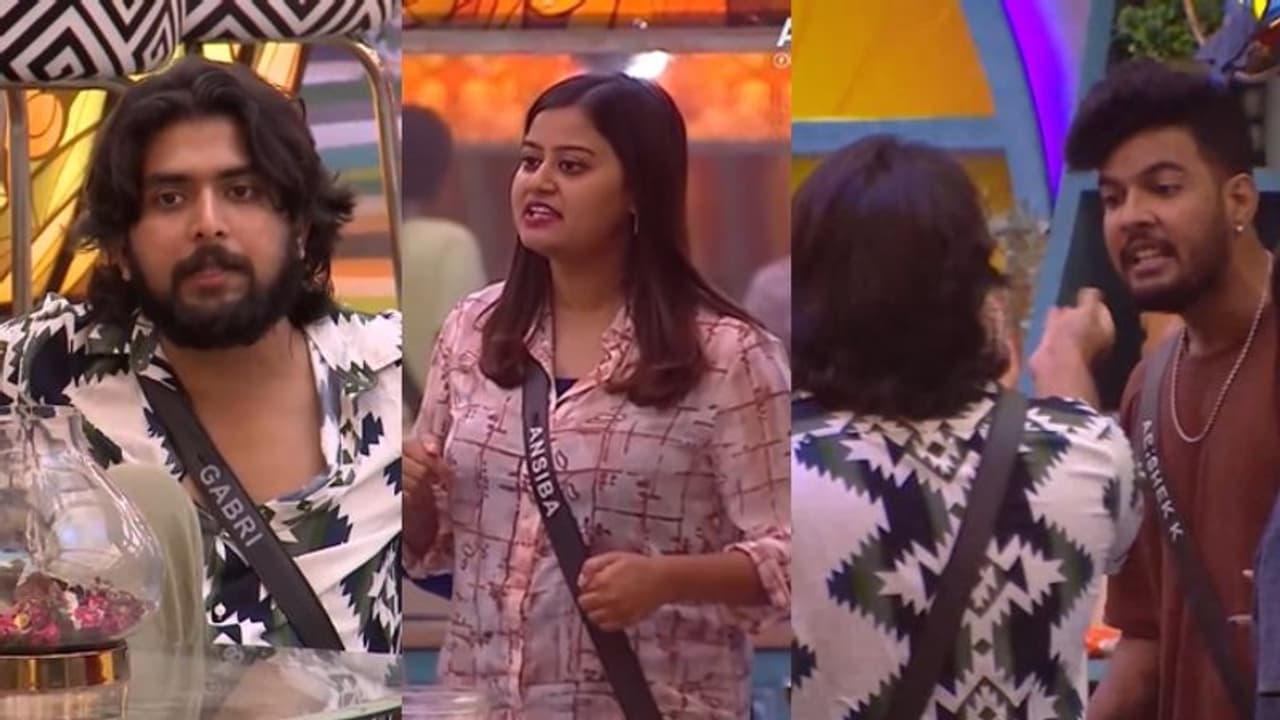 abhishek jayadeep fight with gabri in bigg boss malayalam season 6 ...