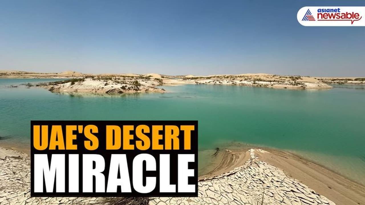 UAE's desert miracle: Barren landscapes turn green, wildlife thrives ...