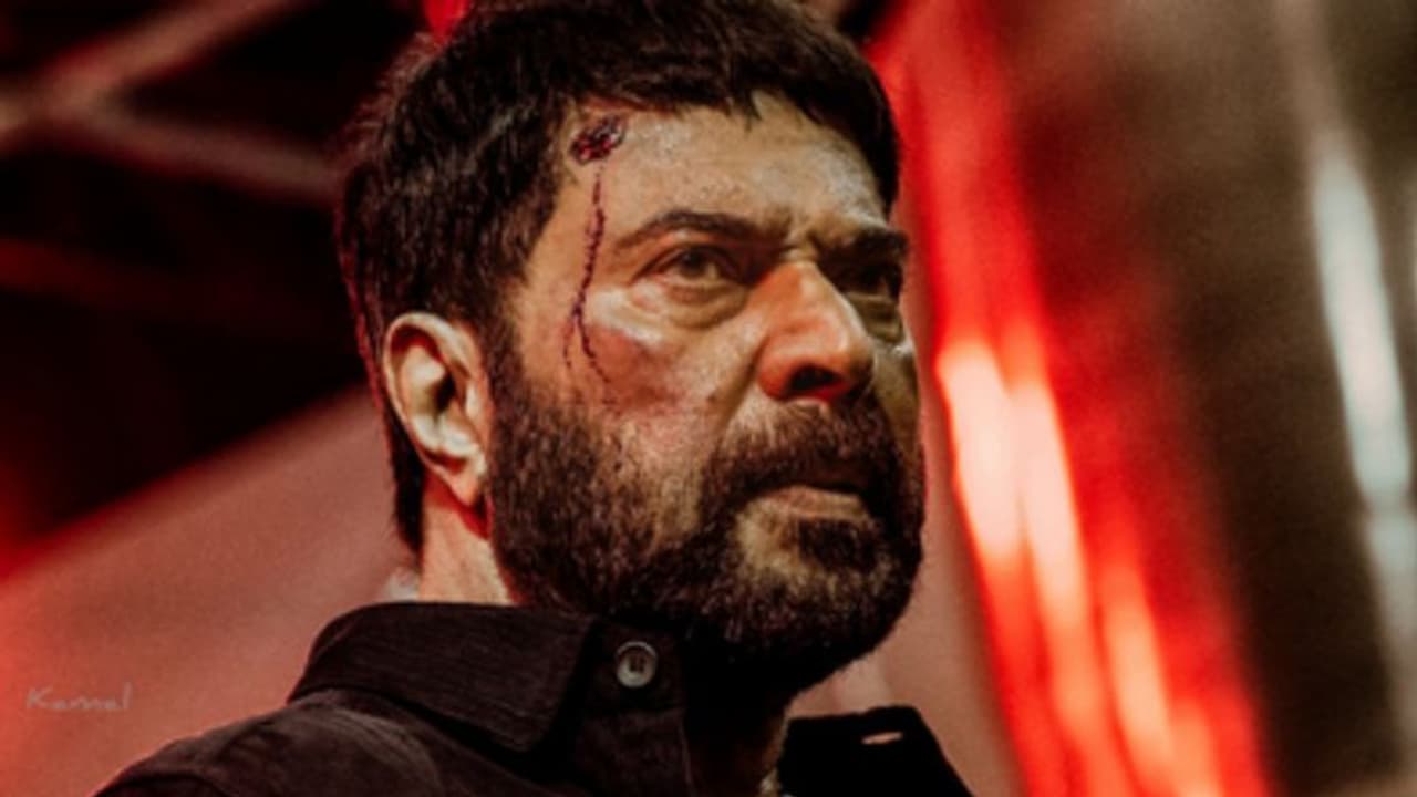 Turbo Box Office Collection: Mammootty, Vysakh's action film set for a ROCKING opening; read ...