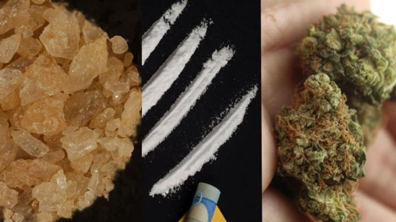 From cocaine-coated Rs 500 notes to MDMA, hydro cannabis: Items seized ...