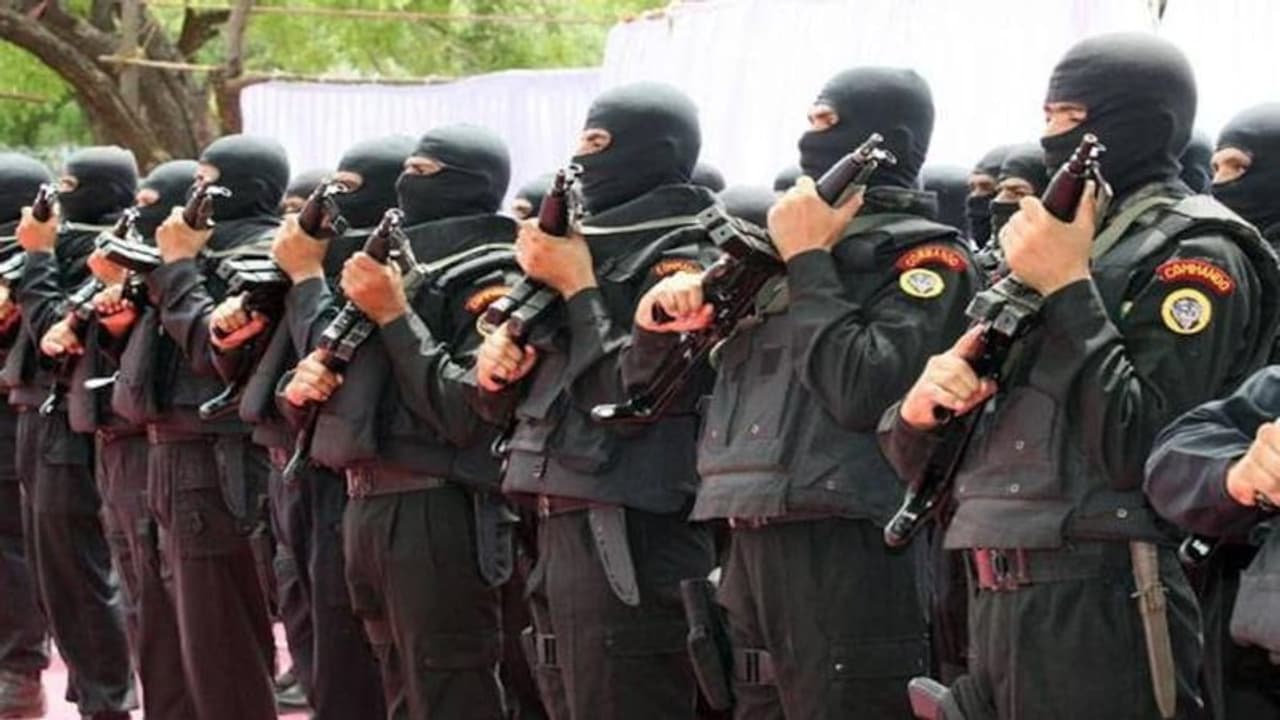 NSG united to be established in Ayodhya, Pathankot and Kerala this year ...